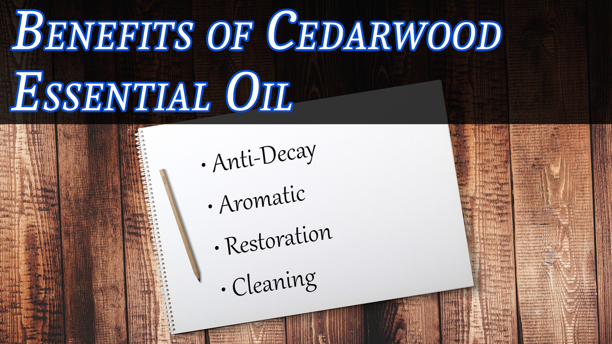 Benefits of Cedarwood Essential Oil | Uses for Cedarwood Oil – Fox ...